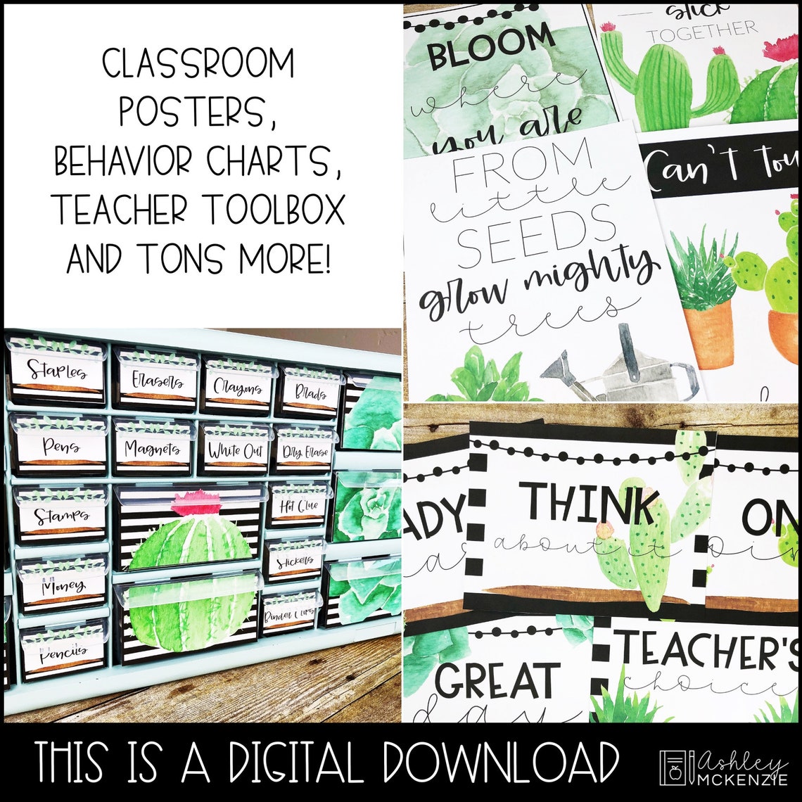 Watercolor Succulent and Cactus Classroom Decor Bundle Easy - Etsy