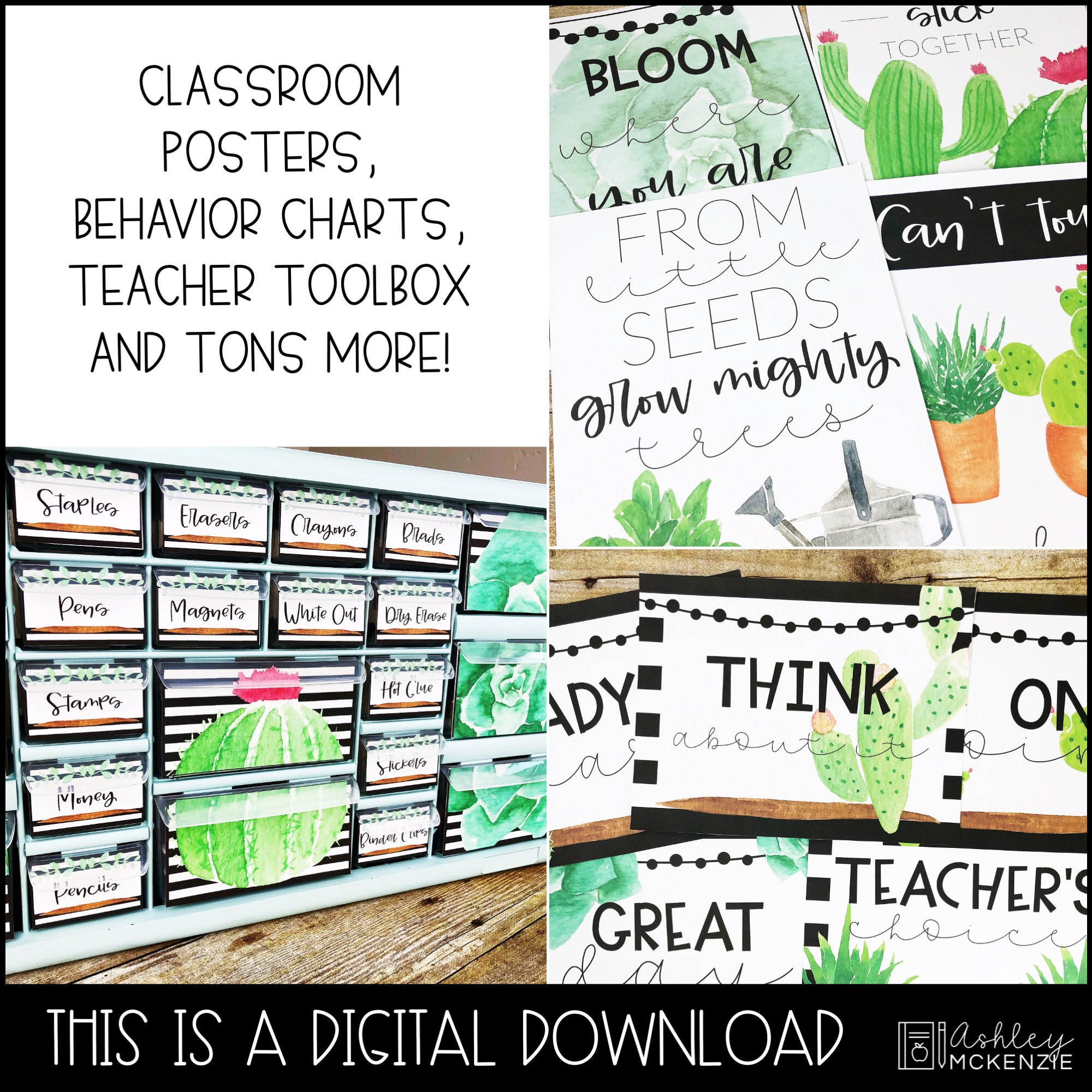 Watercolor Succulent and Cactus Classroom Decor Bundle, Easy and Modern ...