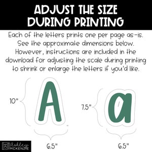 Modern Dinosaur Classroom Theme, Primary Font A-Z Bulletin Board ...