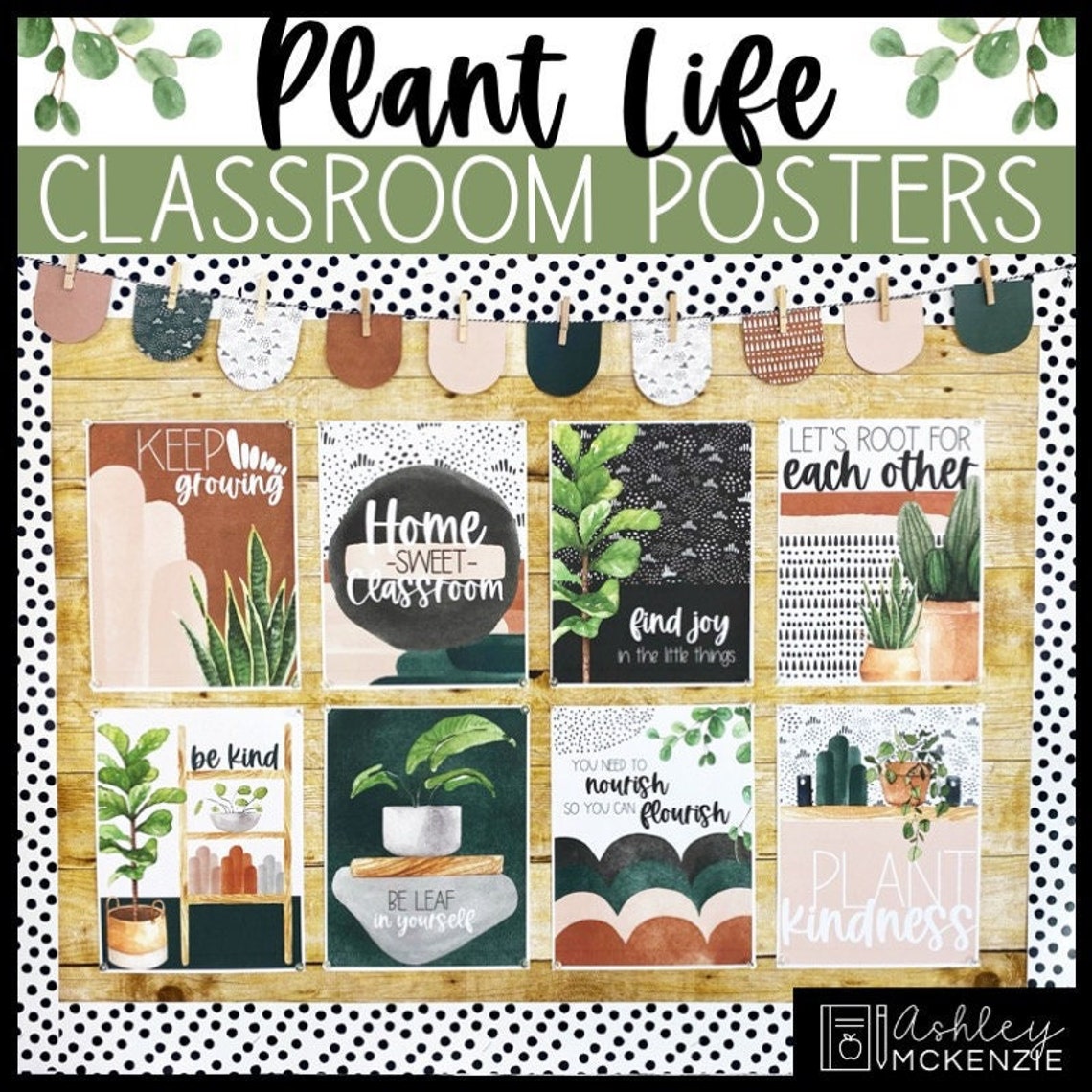 Plant Life Classroom Posters Easy and Modern Classroom - Etsy