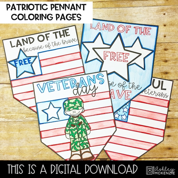 Hojas De Trabajo Del Día De Los Veteranos Para Estudiantes De Primaria