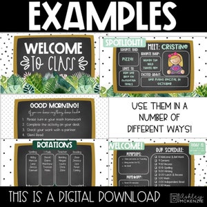Modern Tropical Google Slides and Powerpoint Templates, Calm Class ...