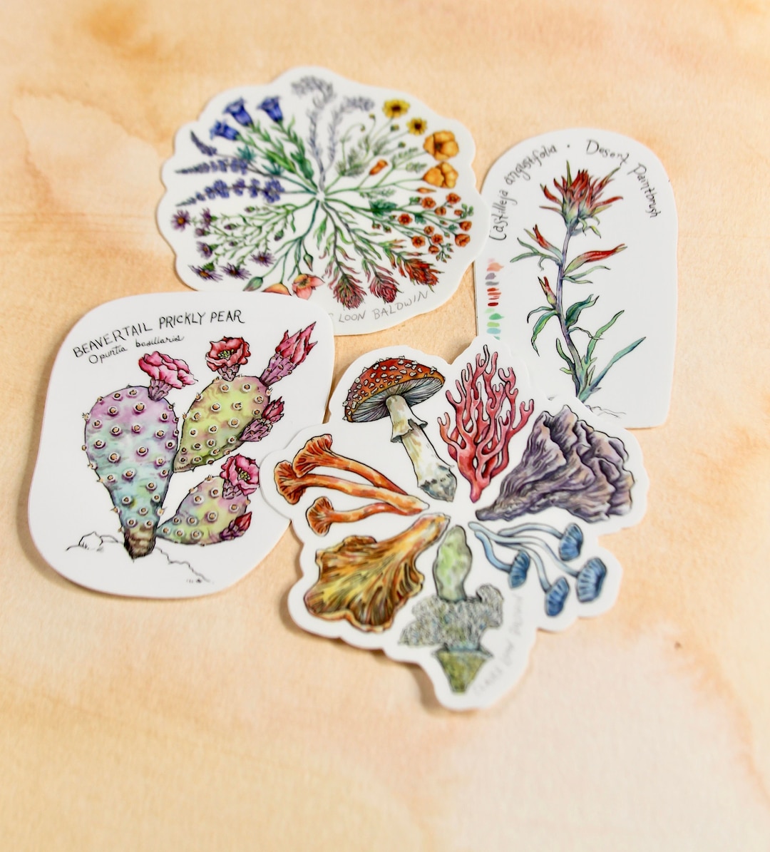 Flora and Fungi Sticker Pack - Etsy