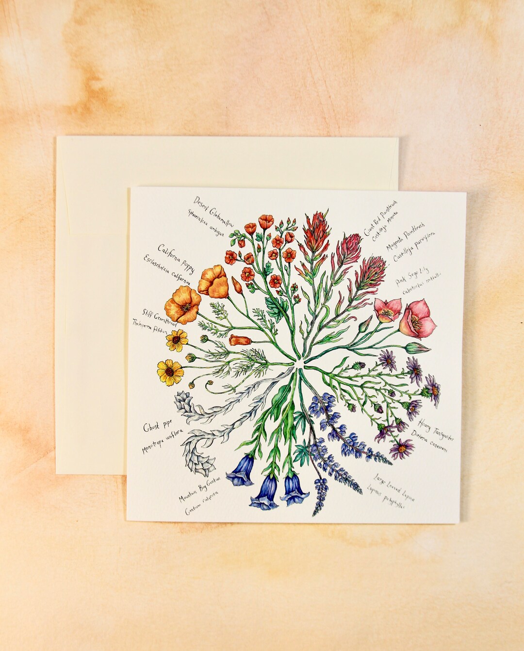 Wildflower Color Wheel Card - Etsy