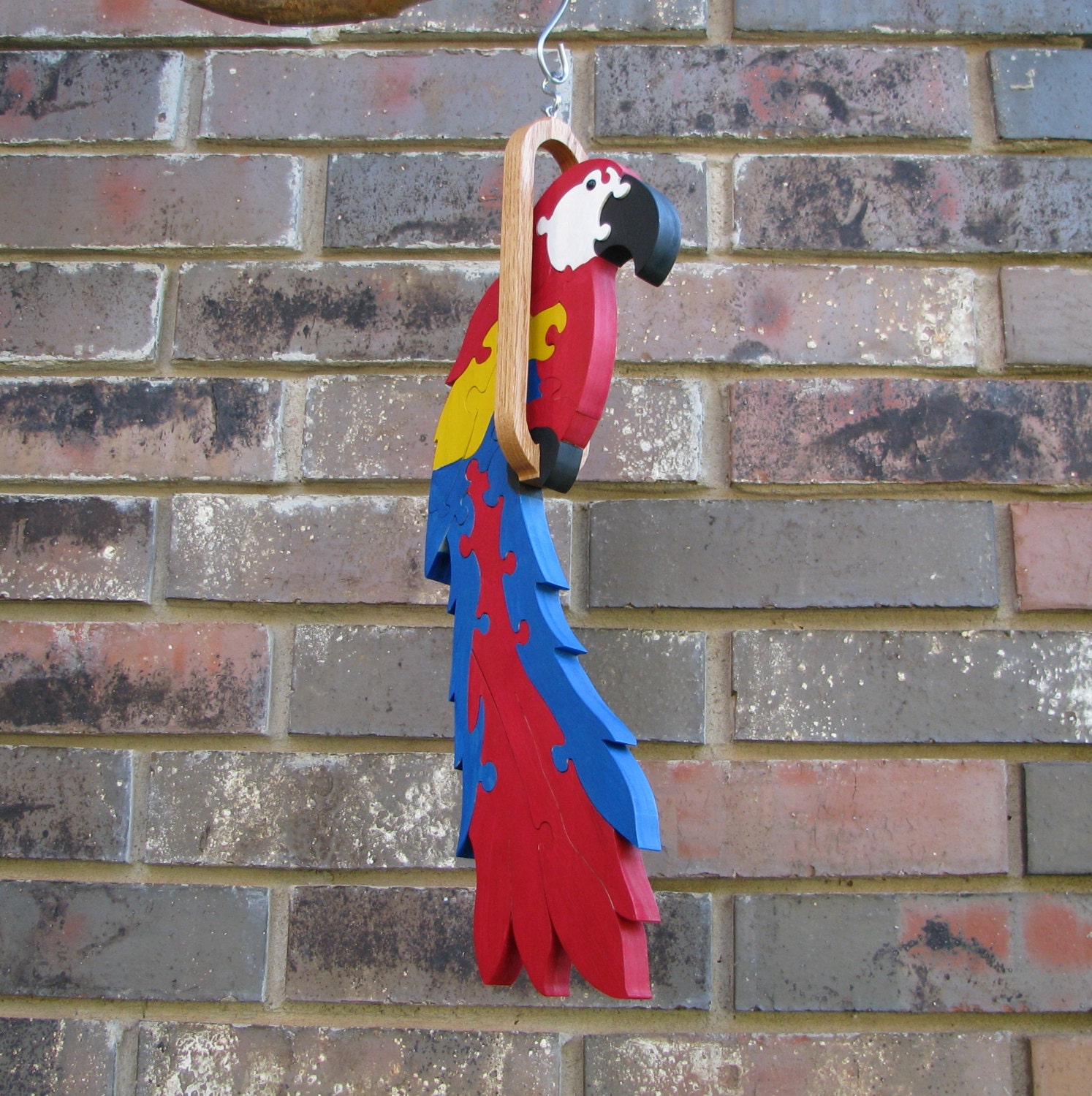 Macaw Parrot Bird Hanging Art 3D Jigsaw Puzzle for Home Décor, Hand Cut ...