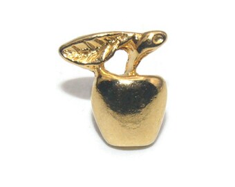 Apple Lapel Pin CC121 Teacher, Education, and School Pins and Gifts ...