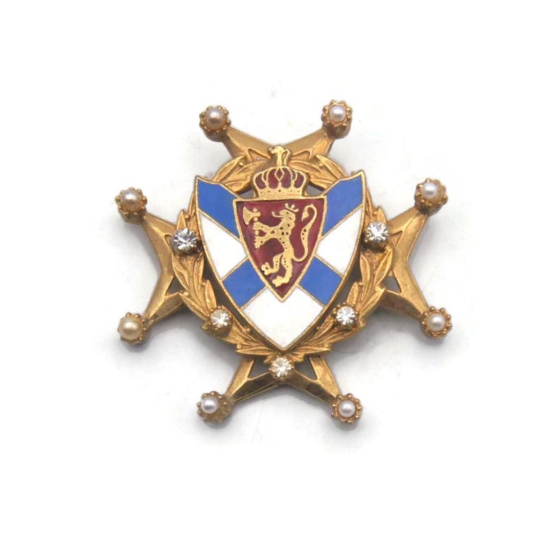 Lion Crest Brooch - Etsy