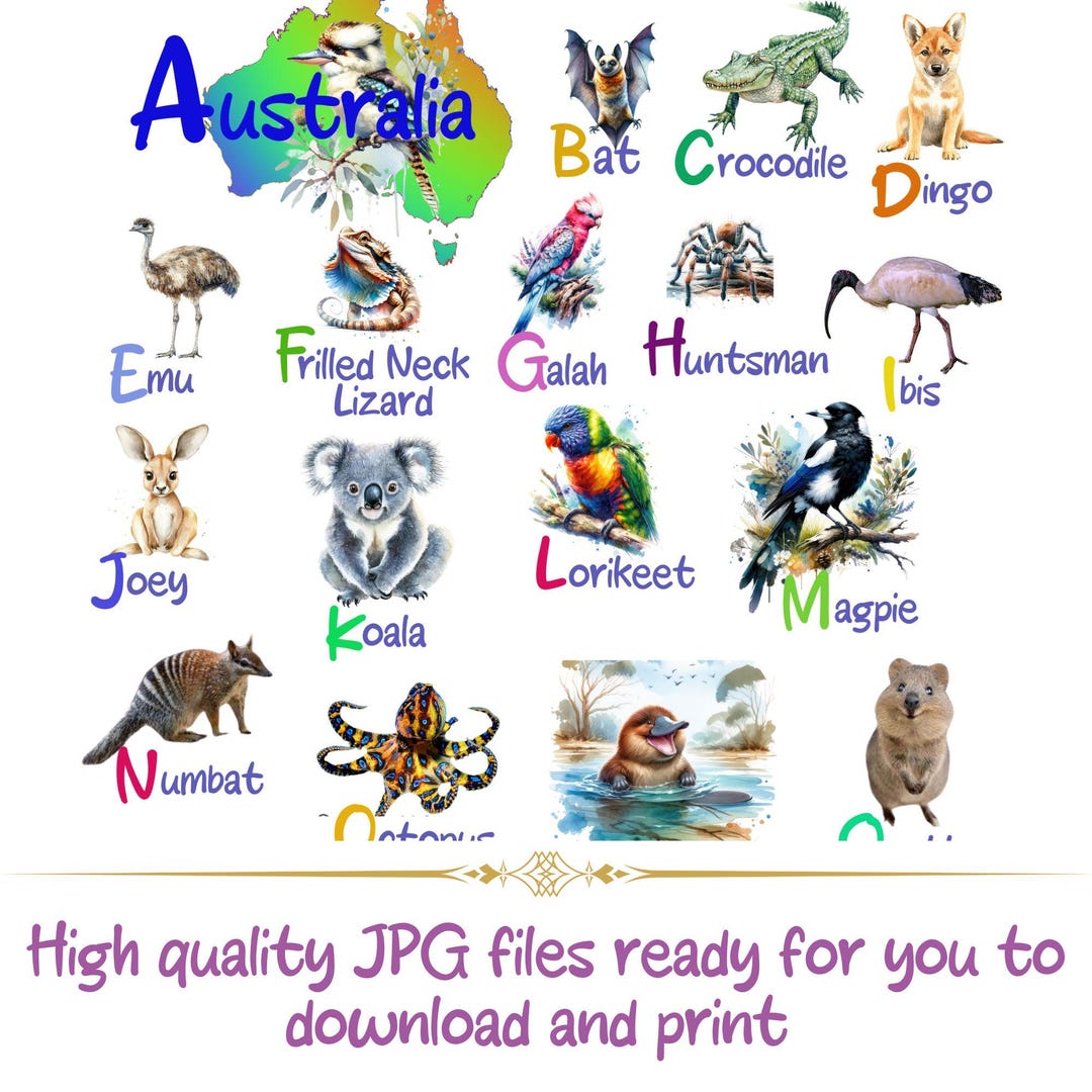Australian Animals ABC Chart Printable Digital Download - Etsy