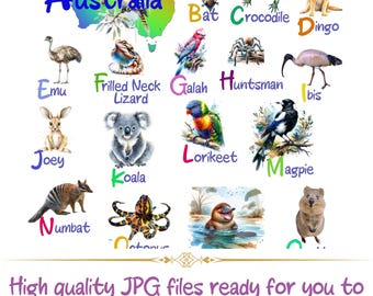 A - Z of Aussie Animals | Australian Animal Alphabet Children's Nursery ...