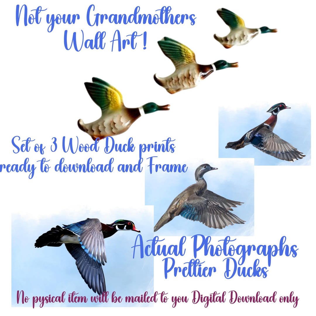 Wood Ducks Wall Art Digital Printable Download. Not Your Grandmothers ...
