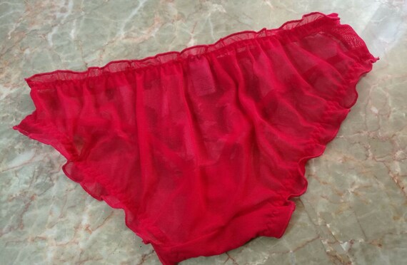 Ruffled Frilly Mesh Sheer ULTRA LOW Briefs Knickers S… - Gem