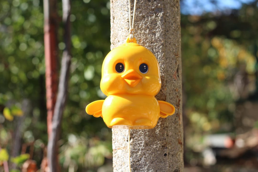 Vintage Mechanical Musical Toy, Pull-string Box Sankyo - Etsy