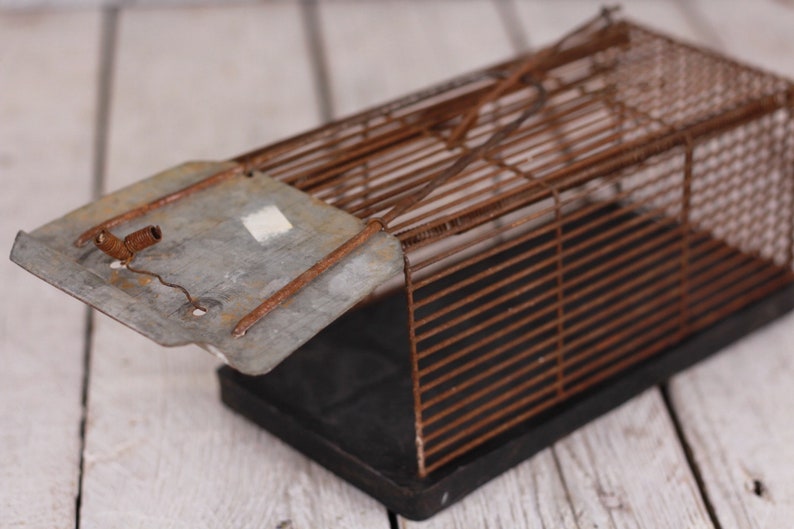 Primitive Rustic Metal Wire Mouse Trap | Etsy