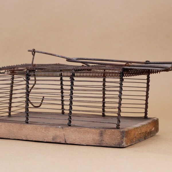 Wire Mouse Trap - Etsy