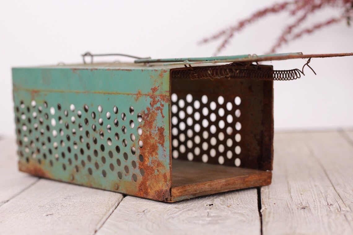 Primitive Metal Mouse Trap - Etsy