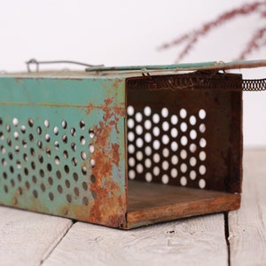 Primitive Metal Mouse Trap - Etsy
