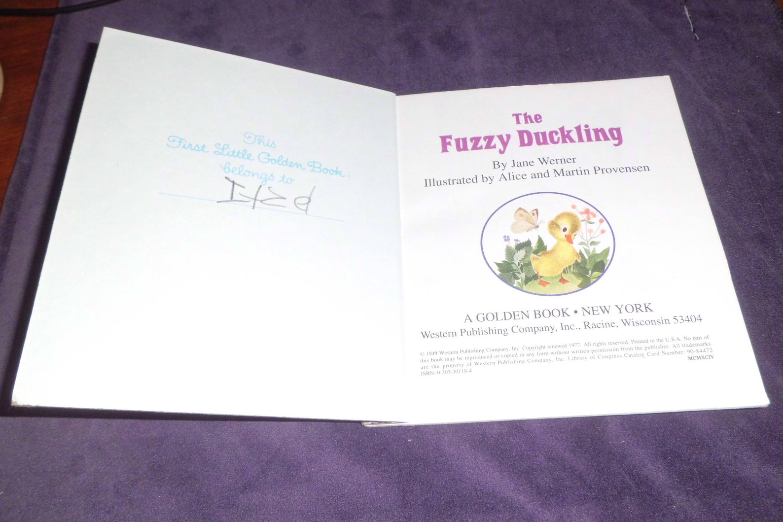 The Fuzzy Duckling a First Little Golden Book c 1994 10161-05 Vintage ...