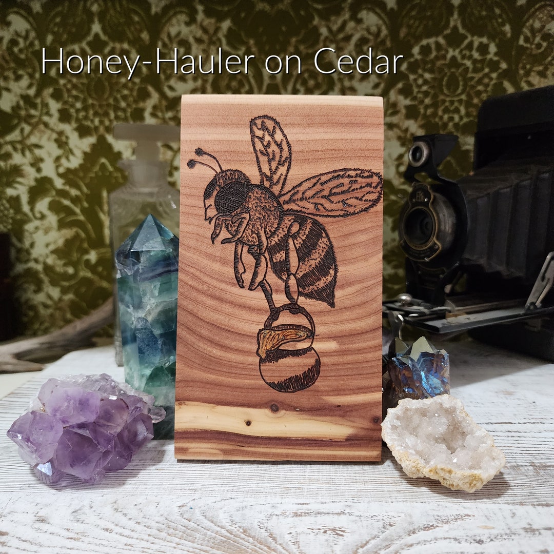 Hand Burned, Honey Bee, Pyrography Art, Cedar Slab, Rustic Bee Decor ...