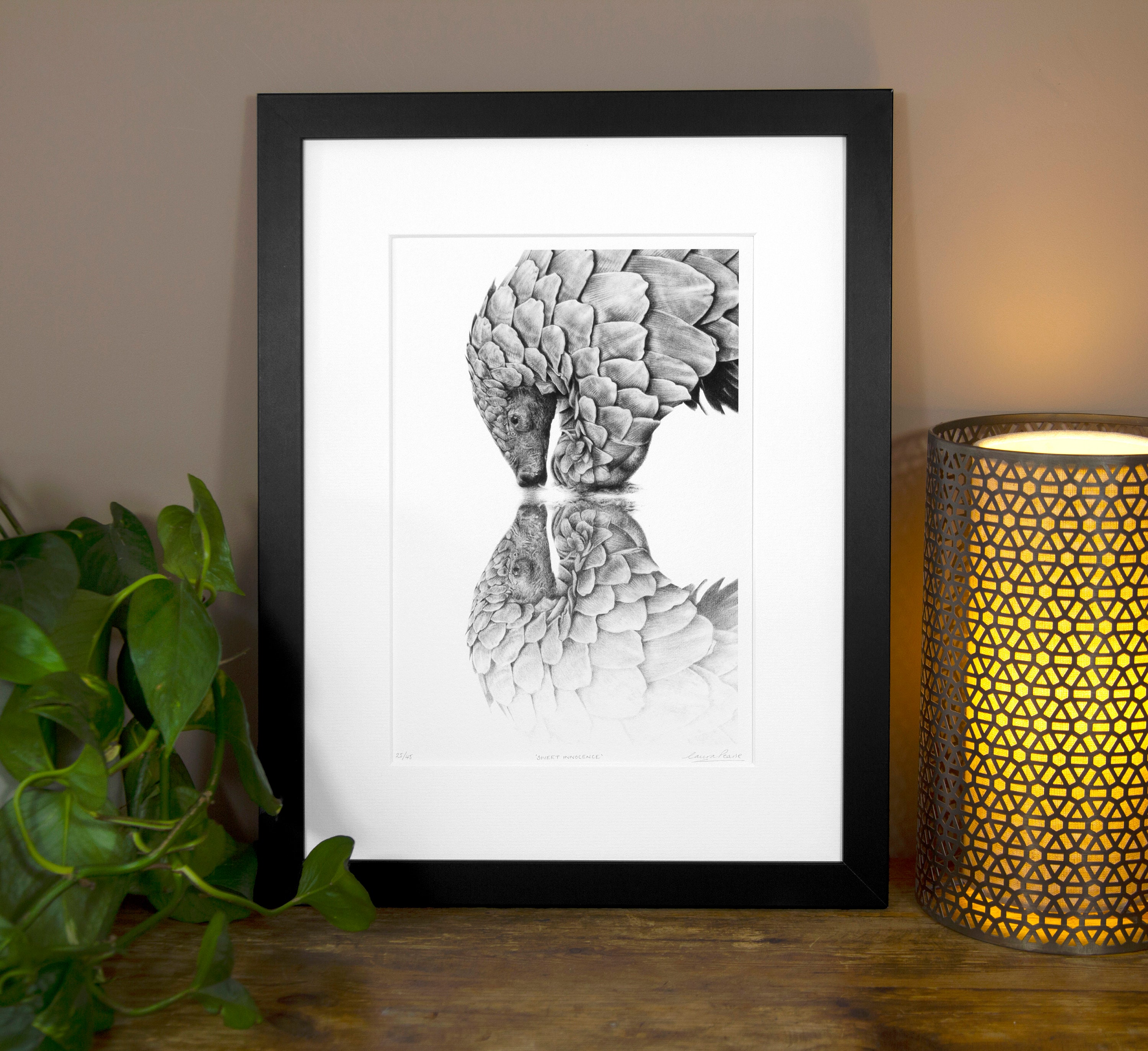 Pangolin Print, Giclee Print, Pangolin Art, Pangolin Drawing, Wildlife ...