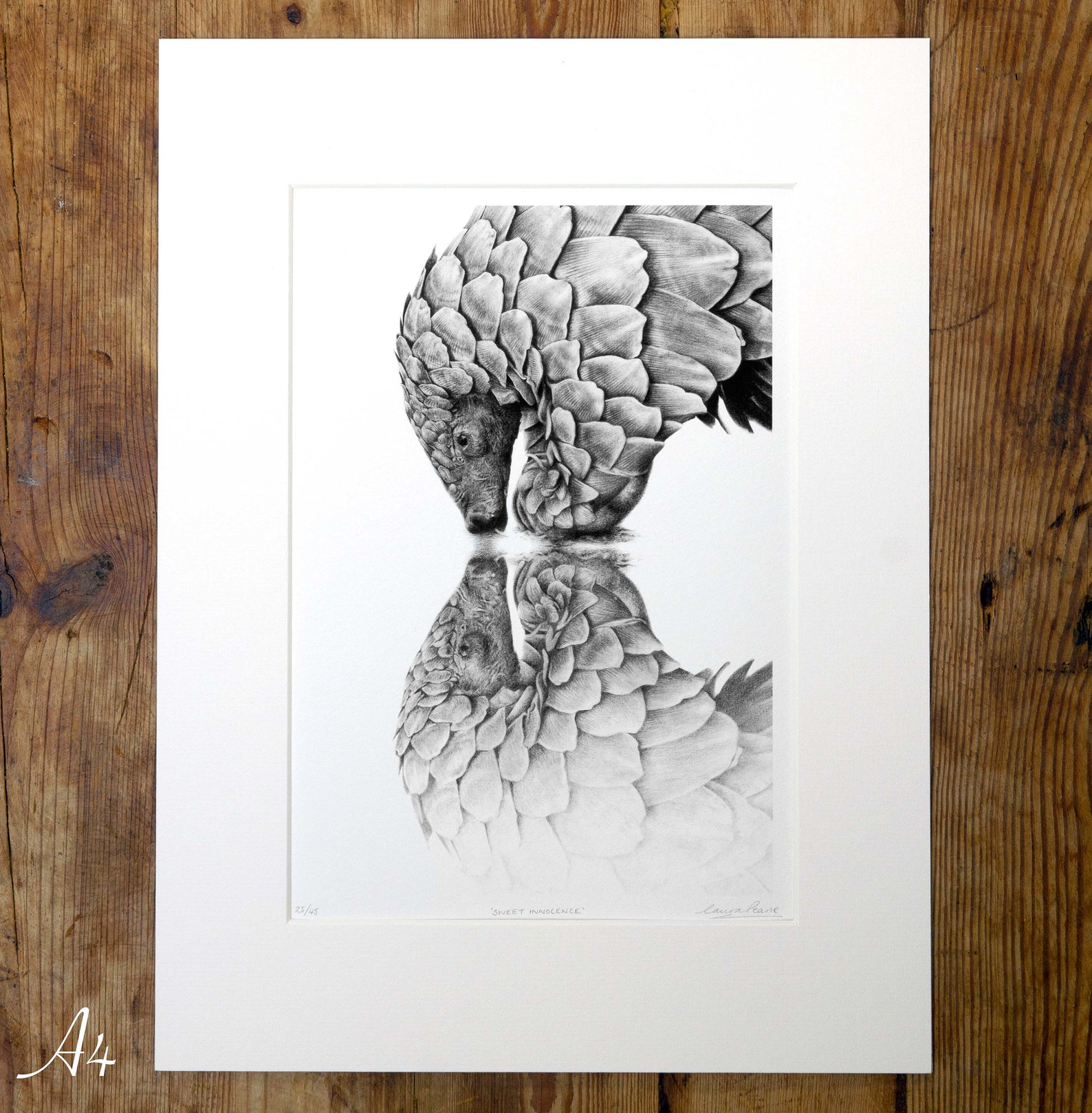 Pangolin Print, Giclee Print, Pangolin Art, Pangolin Drawing, Wildlife ...