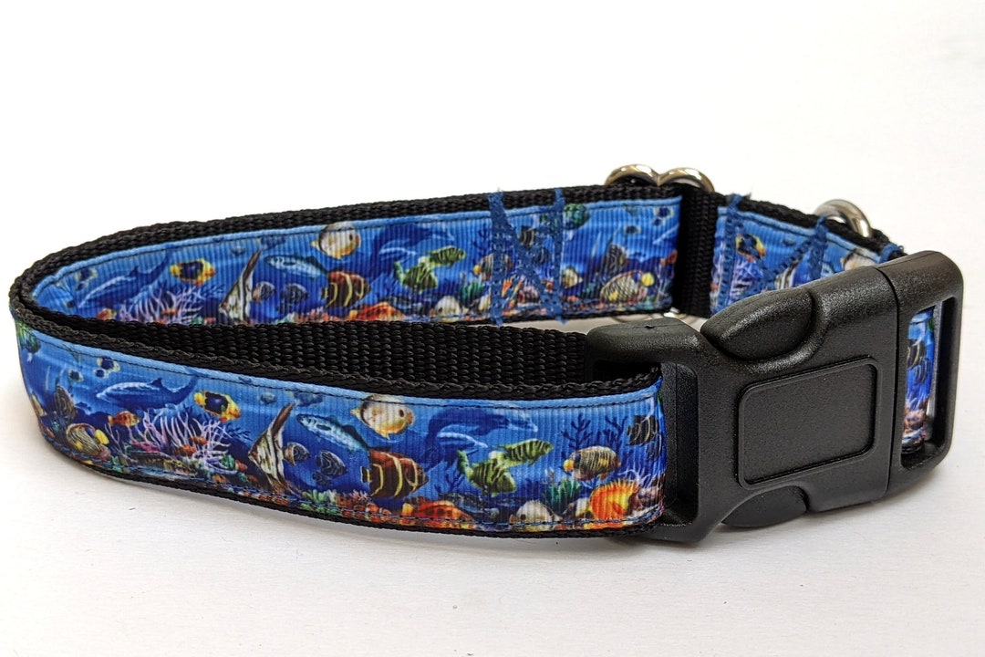 Underwater Ocean Dog Collar - Blue Fish, Coral, Dolphins Pet Collar - Etsy