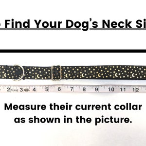 How to Train Your Dragon Dog Collar - Hiccup, Toothless, Astrid HTTYD ...