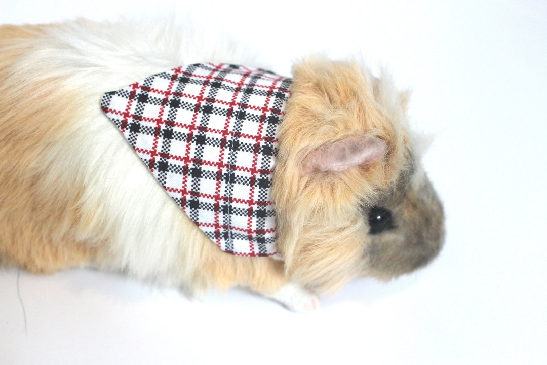Plaid Mini Bandana pour cochons dInde et lapins Blanc - Etsy France