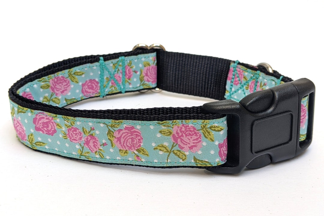 Floral Pink Rose on Turquoise Dog Collar - Flowers on Teal, Outdoors ...