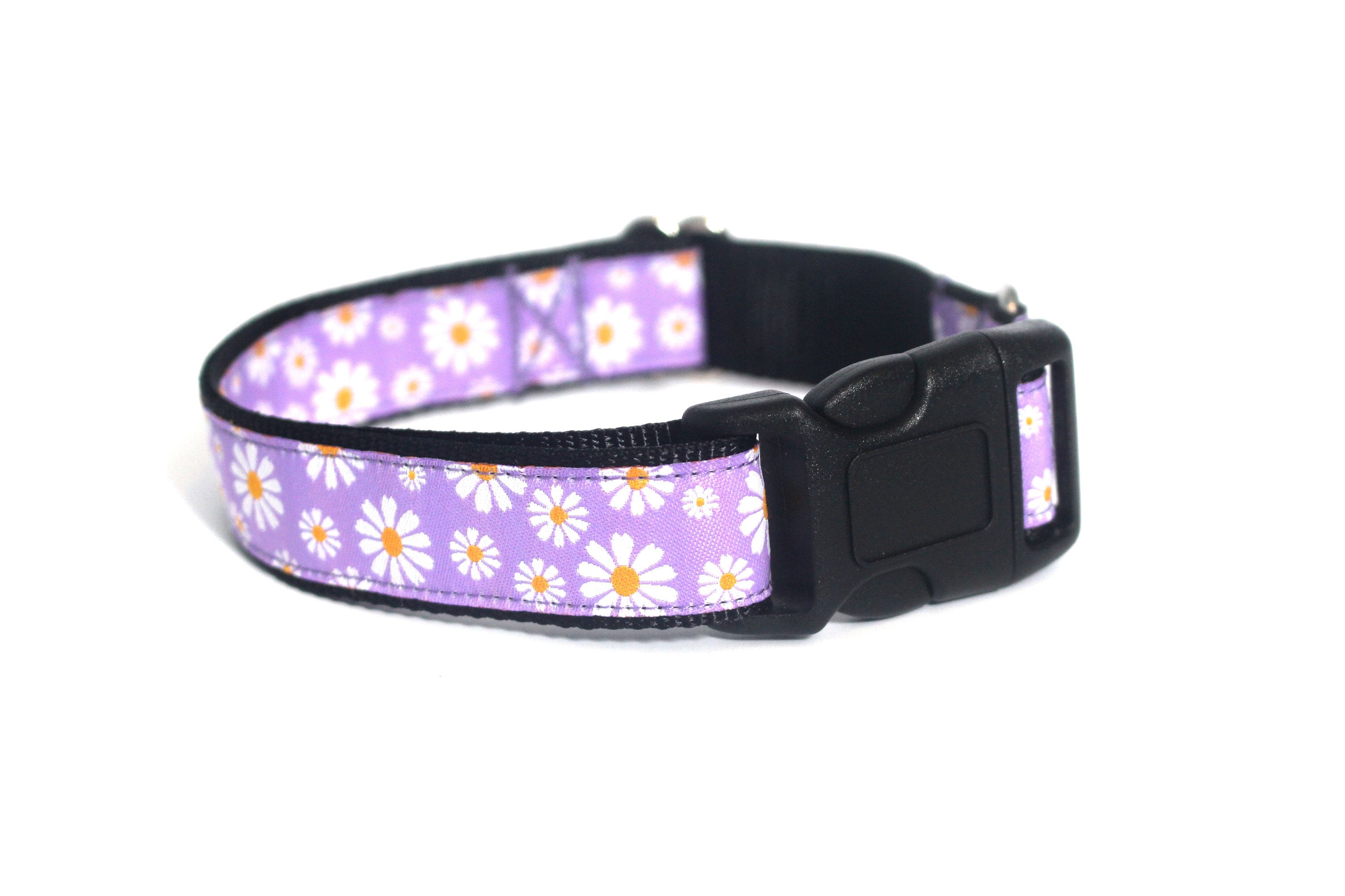 Summer Daisies Purple Dog Collar Flower Floral Pet Collar | Etsy