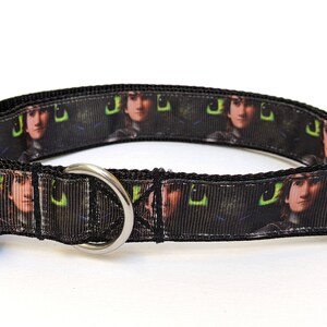 How to Train Your Dragon Dog Collar - Hiccup and Toothless HTTYD Pet ...