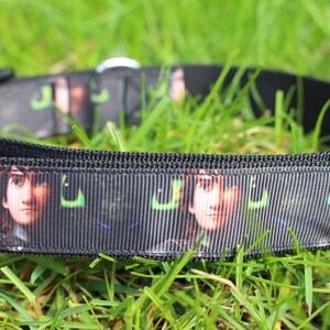 How to Train Your Dragon Dog Collar - Hiccup and Toothless HTTYD Pet ...