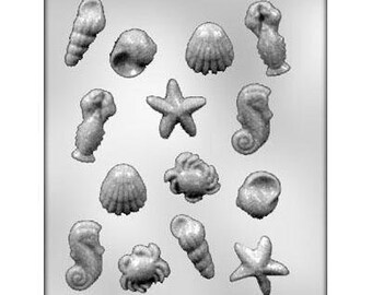 3 1/8 Shell Seashell Chocolate Mold Sea Ocean Lake Beach Soap Fondant ...