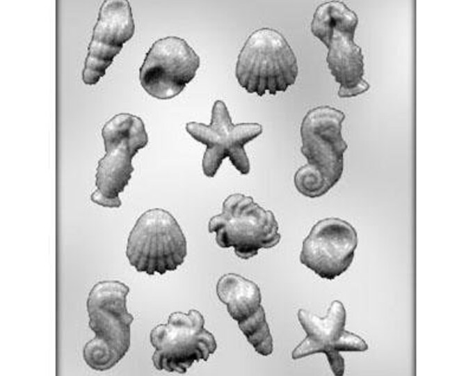 SEASHELL Assortment Chocolate Mold - Etsy