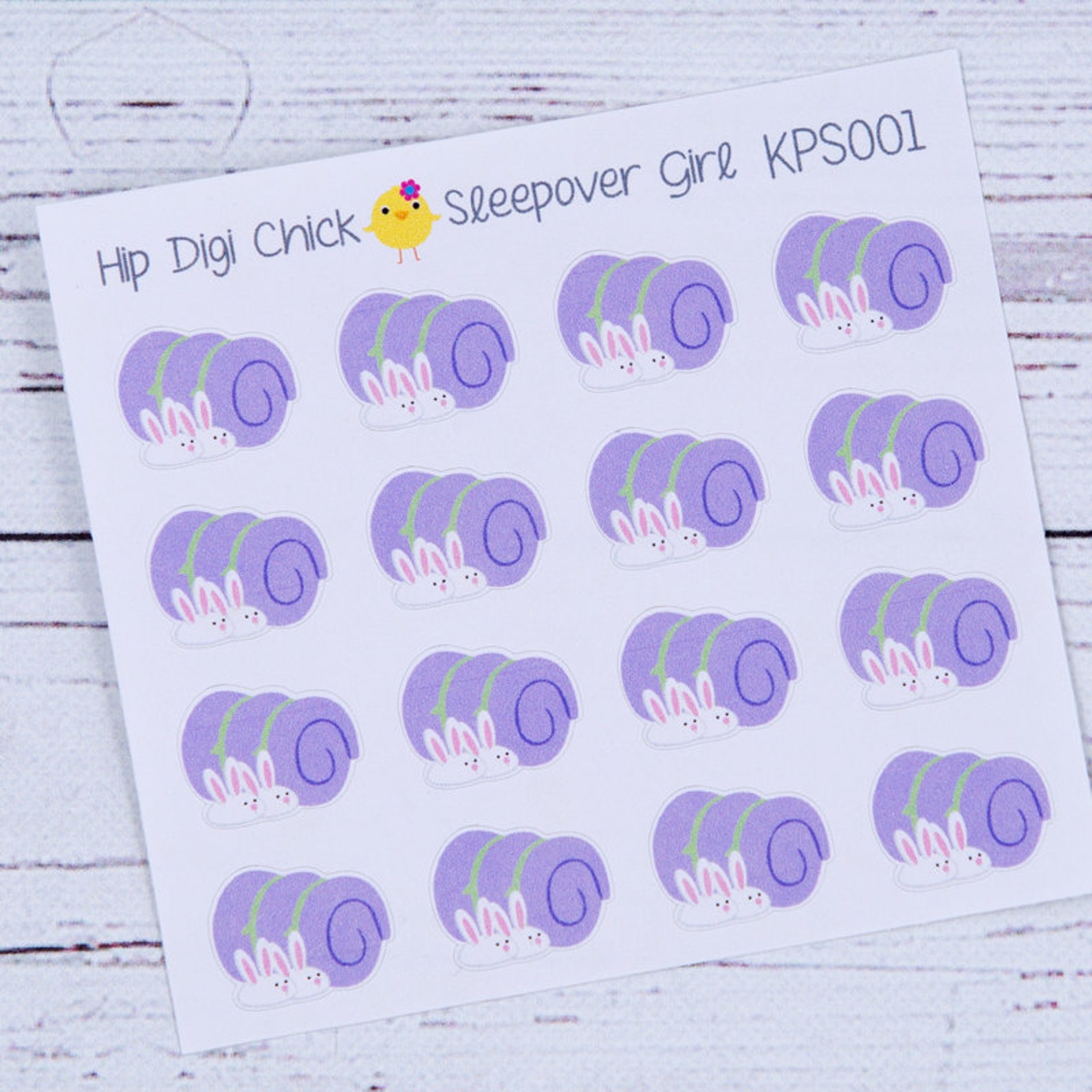 Slumber Party Sleepover Planner Stickers - Girl or Boy - Etsy