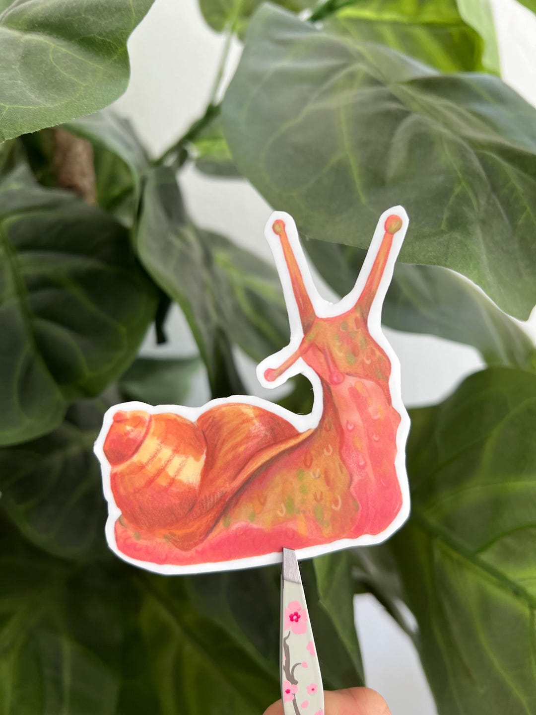 Snail Trail | Snail Stickers | Vinyl Stickers | Garden Snail Stickers ...