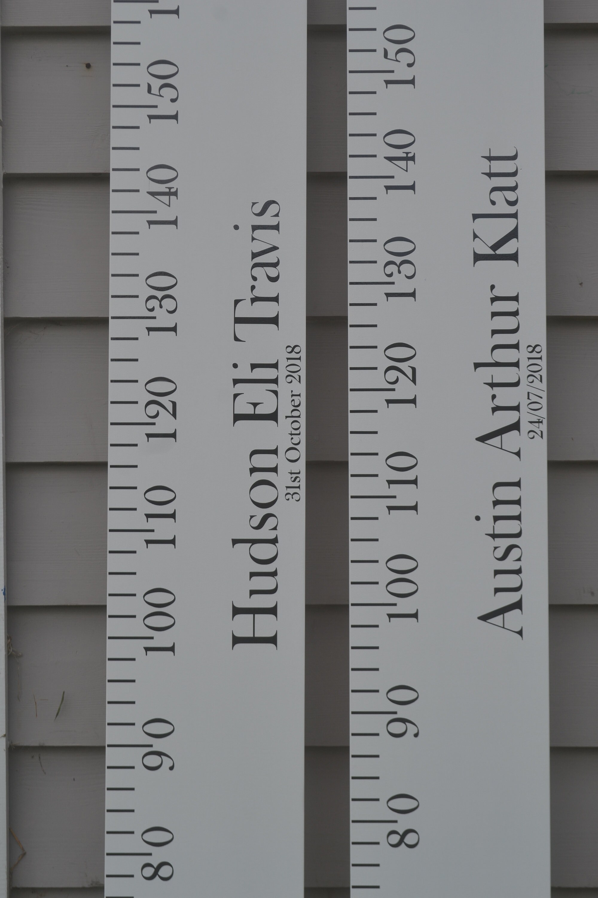 DIY make Your Own Ruler Growth Chart - Etsy
