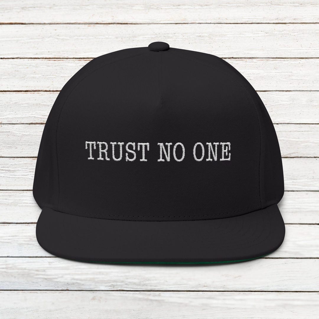 Trust No One Embroidered Hat – X-files Conspiracy Cotton Cap - Etsy