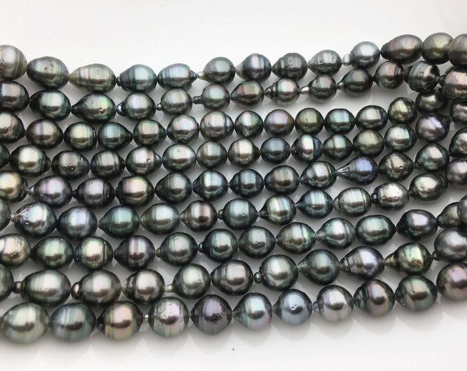 FreshwaterPearl%2Ctahitian%2Csouthsea%2Cakoya%2Cwholesale by WenPearls