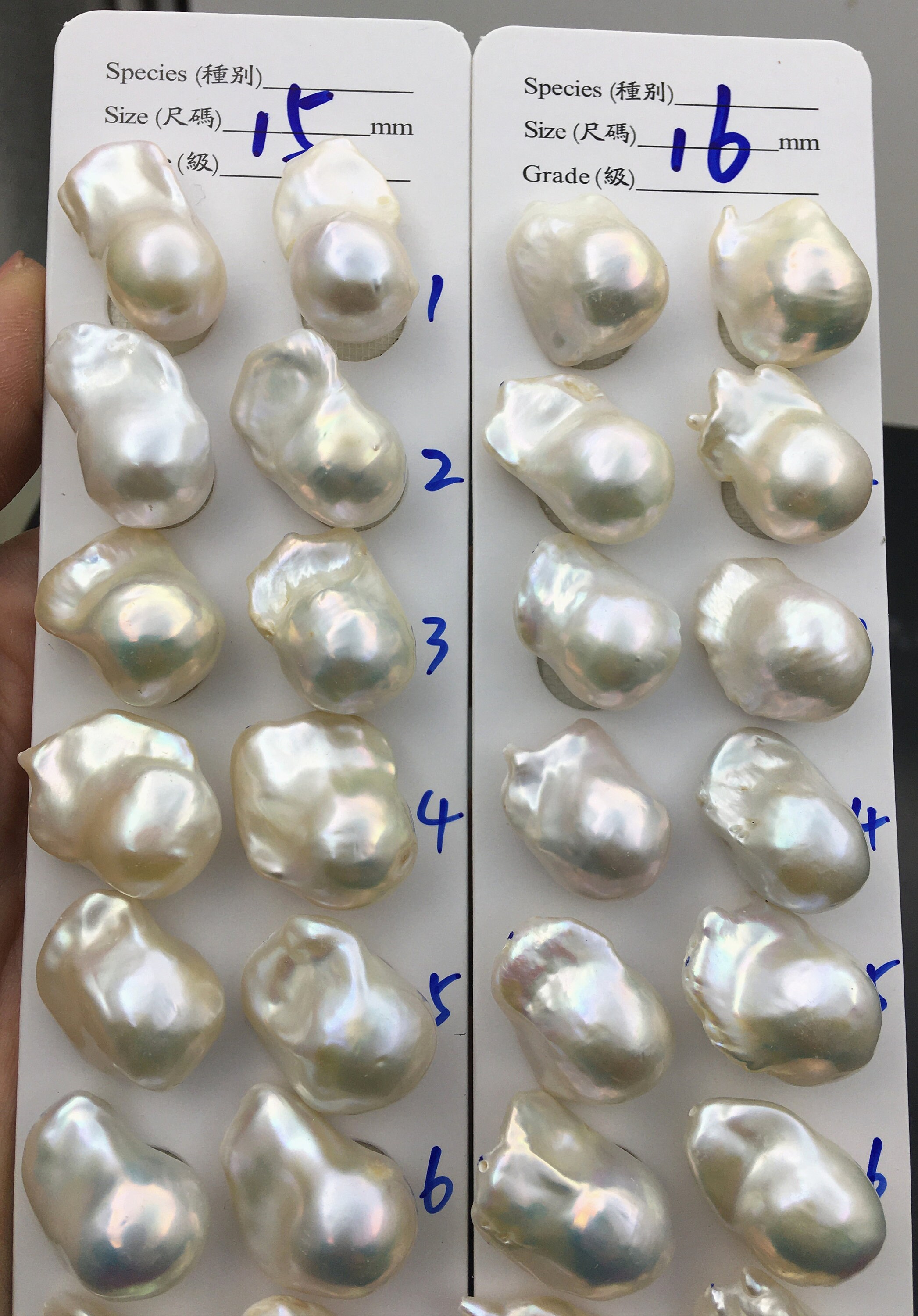 Difference Between Pearl And Ivory Color