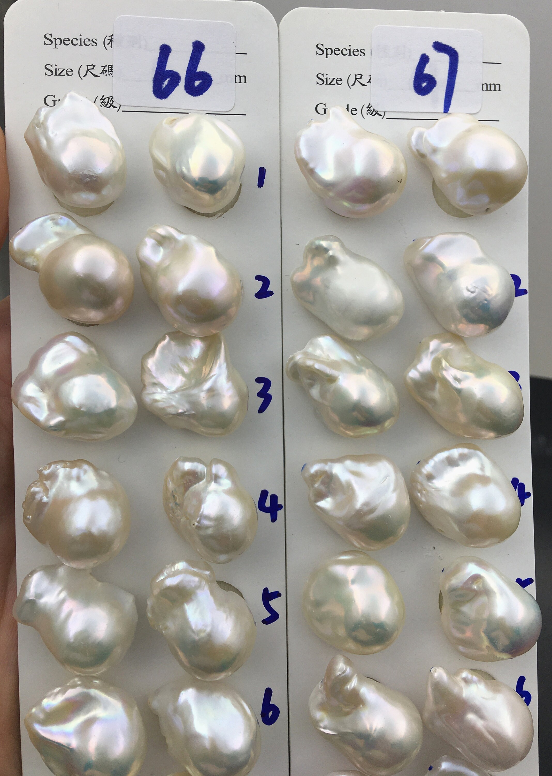 Difference Between Pearl And Ivory Color