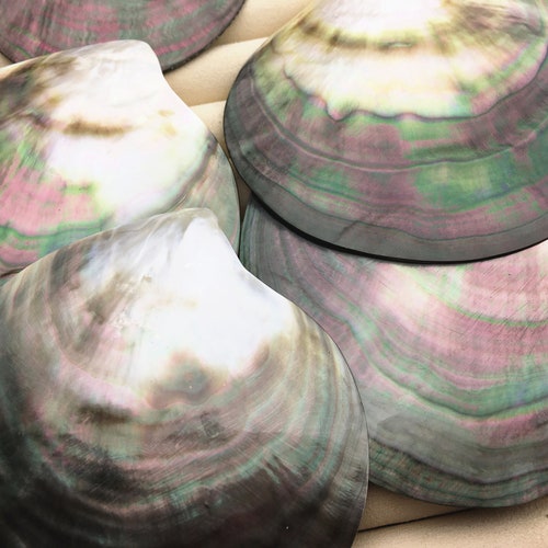 Fresh-water Shell Sheet and Strips | Etsy UK