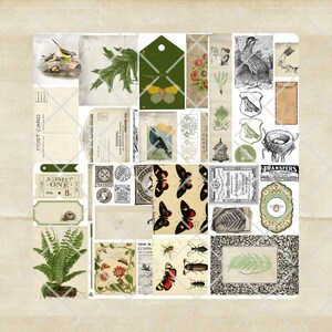 Botanical Ephemera Collage Sheets-8 Sheets (ye Olde Botanical ...