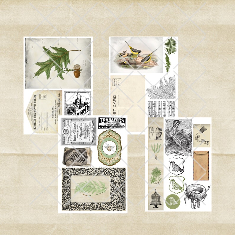 Botanical Ephemera Collage Sheets-8 Sheets (ye Olde Botanical ...
