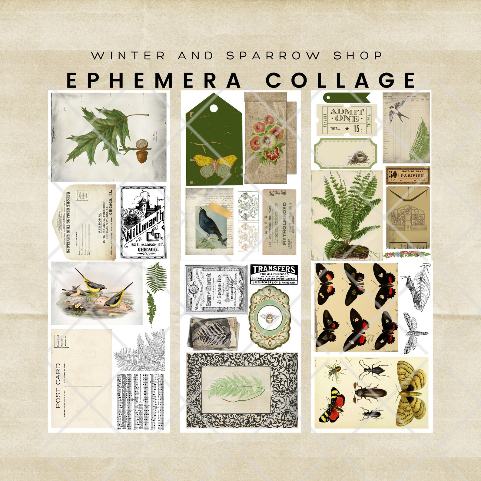 Botanical Ephemera Collage Sheets-8 Sheets ye Olde Botanical Collection ...