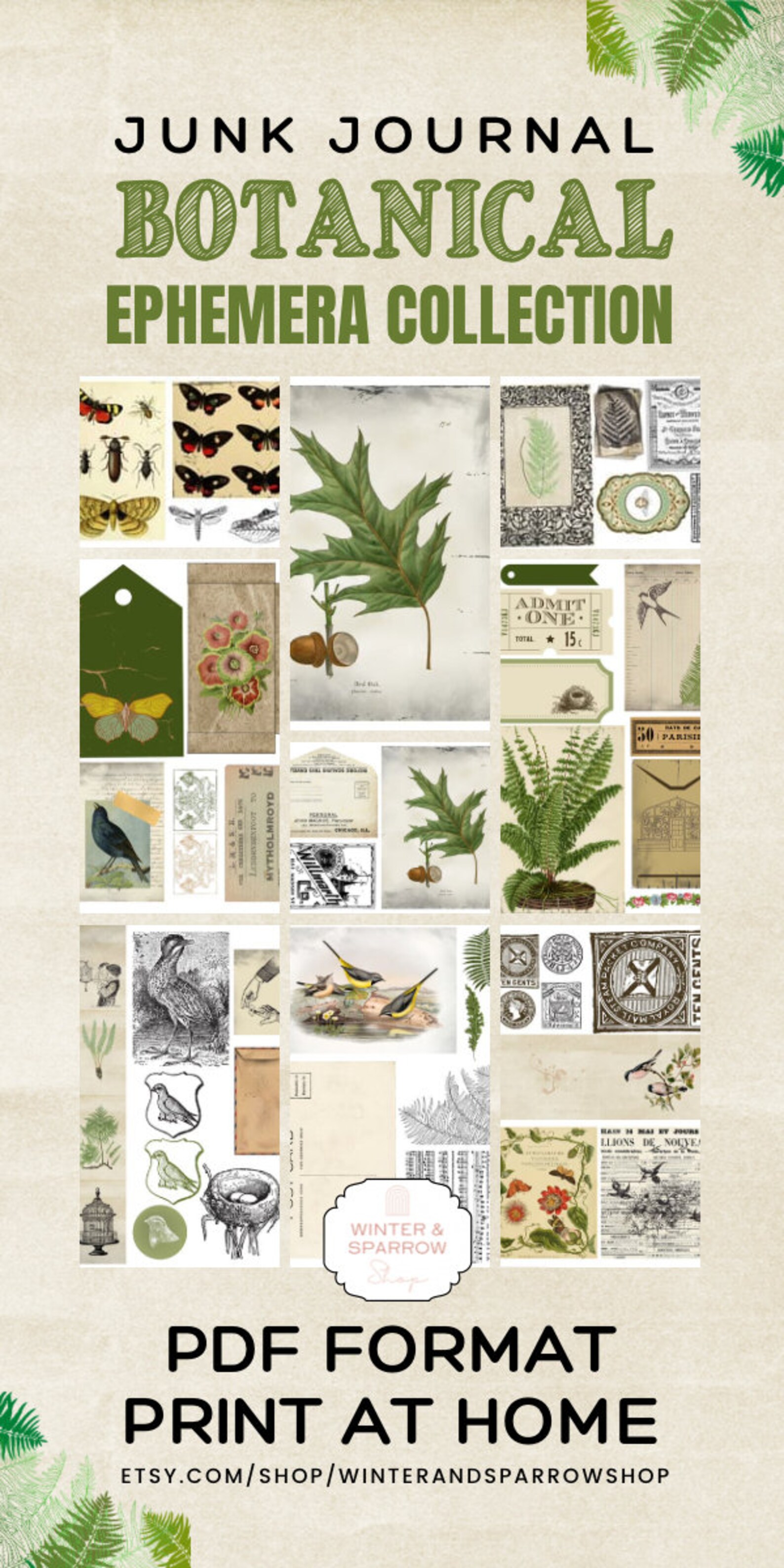 Botanical Ephemera Collage Sheets-8 Sheets (ye Olde Botanical ...