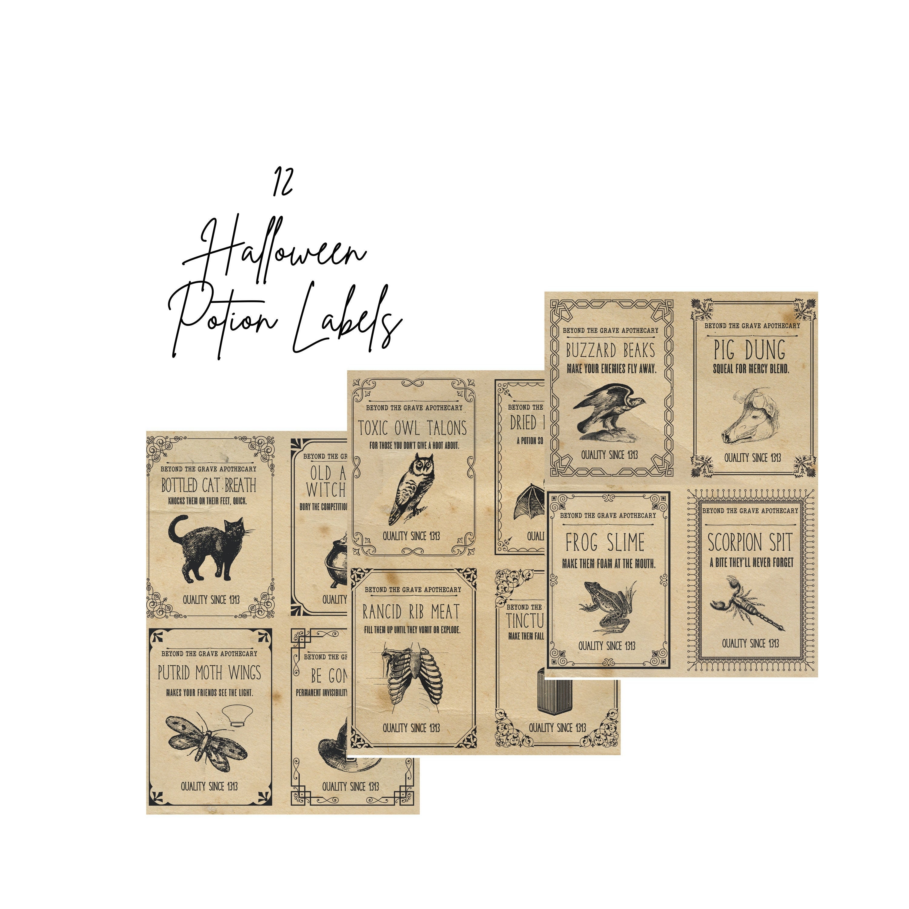 12 Halloween Apothecary Potion Poison Labels Instant Digital - Etsy