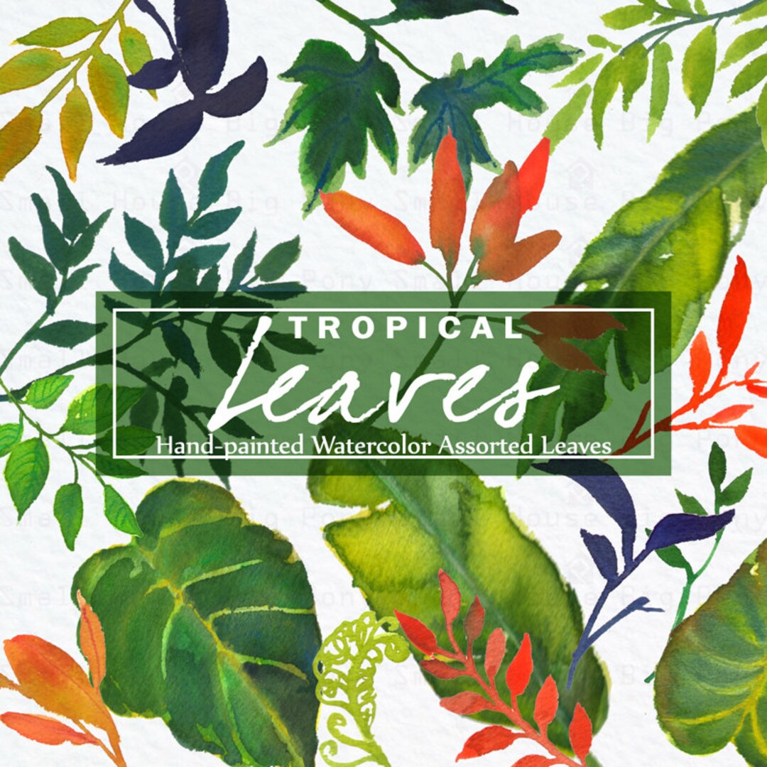 Watercolour Tropical Leaves Clipart. Handmade, Watercolour Clipart ...