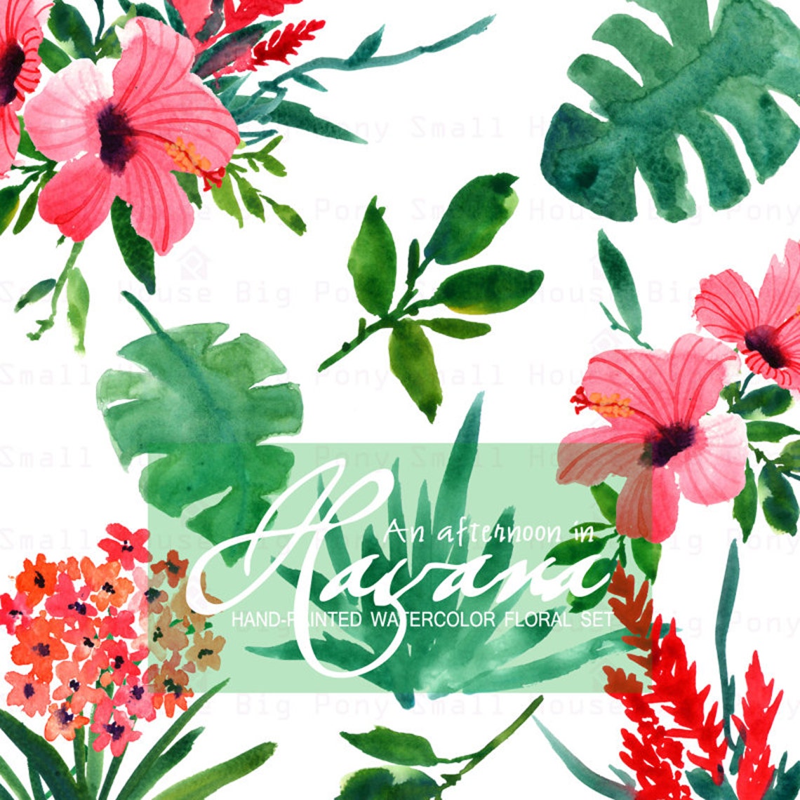 Flowers ,hand Painted Watercolor Clipart Clip Art -hibiscus, Tropical ...