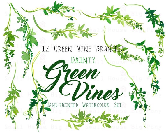Groene Wijnstok Clipart Rand