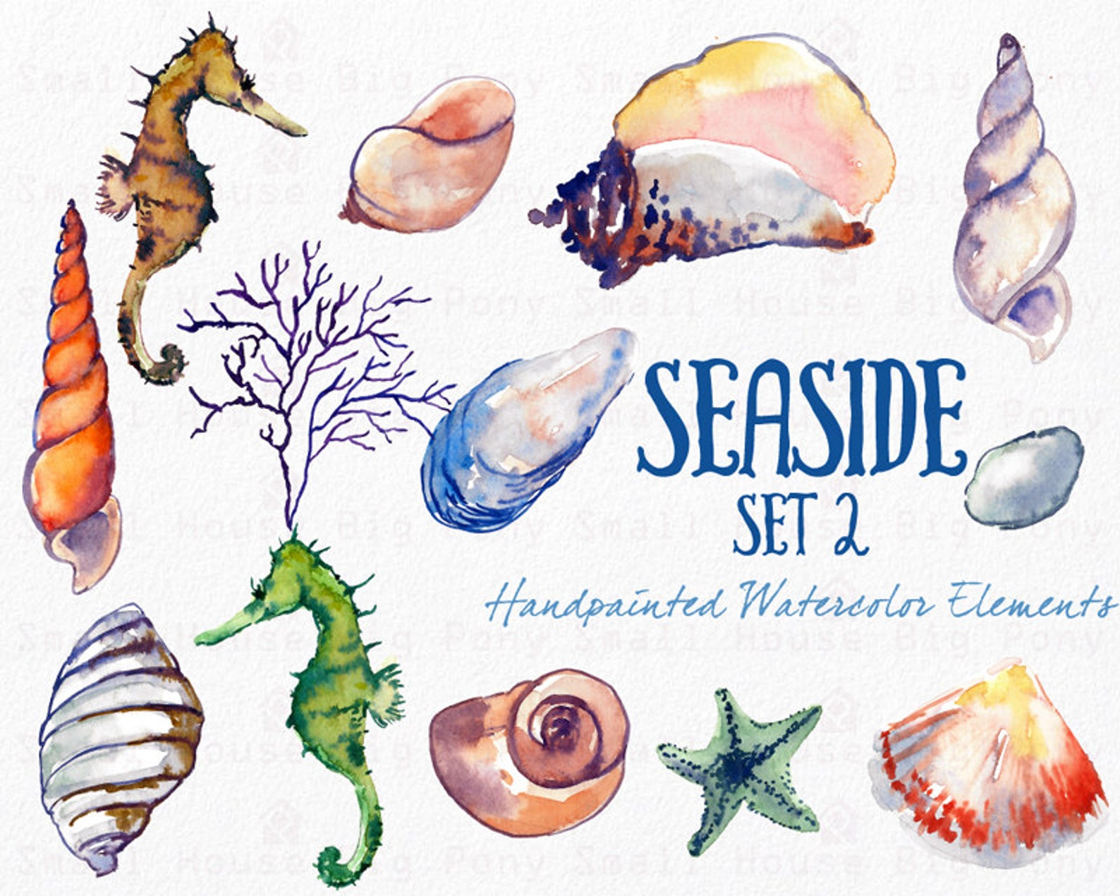 Watercolor Sea Shells Clipart Instant Digital Download - Etsy